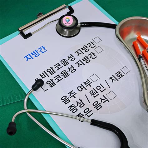 비알코올성 지방간 원인과 치료 지방간에 좋은음식 알아보기 네이버 블로그