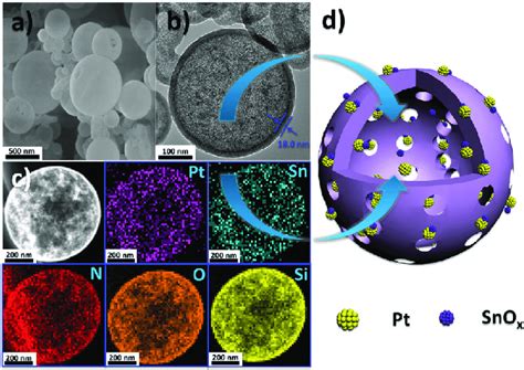 A SEM B TEM And C STEM Images And The Corresponding EDS Mapping Download Scientific