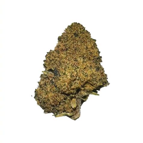 Small Buds Of 315 Cbd Aromatic Flower La Cordobesa Sour Diesel