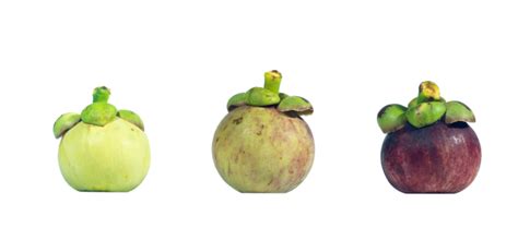 Fruits Vegetables PNGs For Free Download