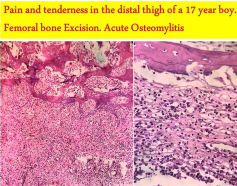 Sayed Attar Posted On Linkedin