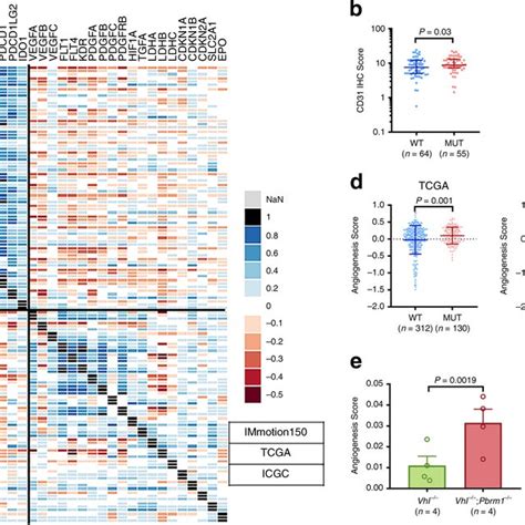 Pbrm1 Knockout Reduced Ifngr2 Expression In Renca Cells A Brg1 And