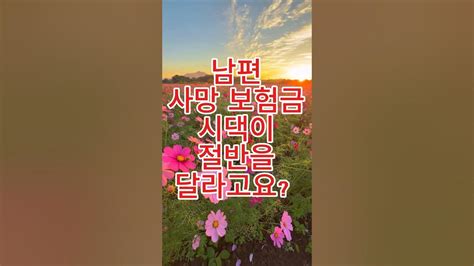 남편 사망보험금 시댁이 절반을 달라고 합니다실화사연 시어머니 며느리남편 사연라디오 좋은글 명언 썰 이슈 임영웅 영탁 미스터트롯 미스터트롯2 실시간