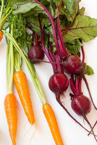 당근 사탕 무와 줄기와 잎 최고의 볼 수 있습니다 흰색 배경 당근에 대한 스톡 사진 및 기타 이미지 당근 물 방울 Istock