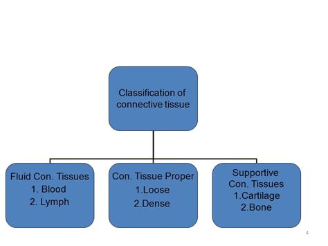 Connective Tissue Classification