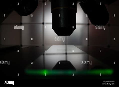 Close Up Microscope Objective And Slide Stock Photo Alamy