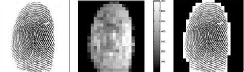 Figure 2 From A Novel Method For Fingerprint Core Point Detection Semantic Scholar