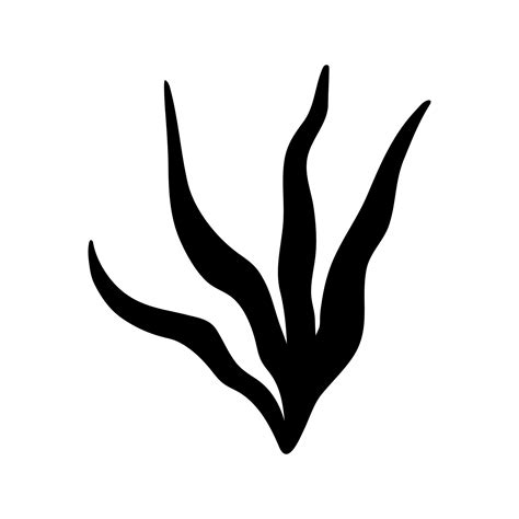 Vector Single Seaweed Silhouette Hand Drawn Doodle Illustrations