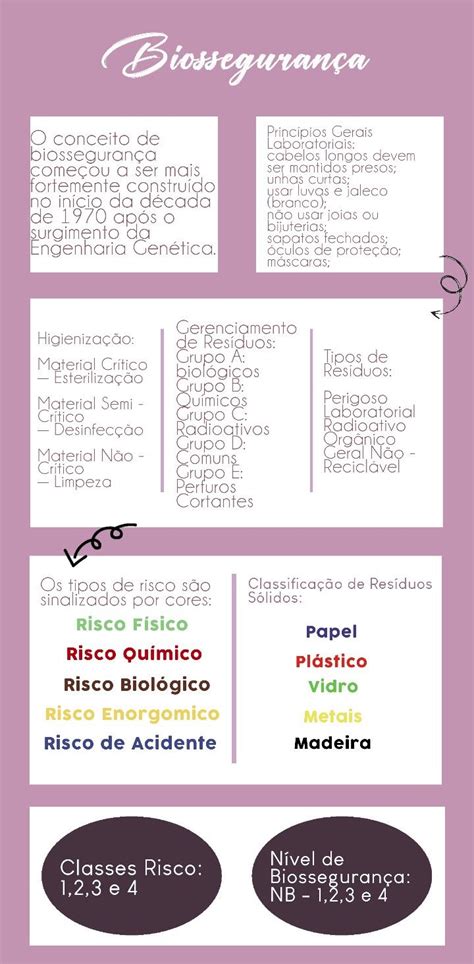 Resumo De Biossegurança【2024】