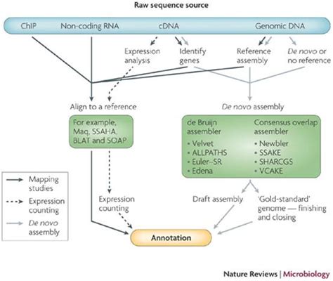 Bwa Soap Maq Blatomg Alignment Methods Evolution And Genomics