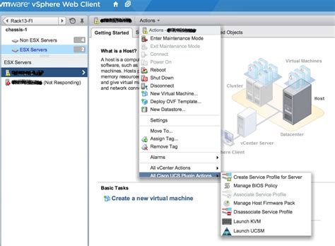 vsphere web client