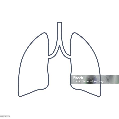 인간의 폐 아이콘 장기 기호 웹 또는 모바일 앱용 템플릿 디자인입니다 건강 검진에 대한 스톡 벡터 아트 및 기타 이미지 건강 검진 건강 진단 건강관리와 의술 Istock