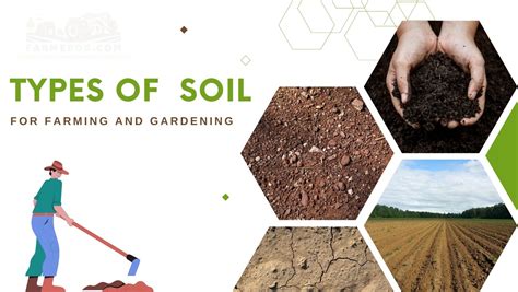 Types Of Soil For Farming And Gardening FarmerDB