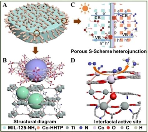 Angewandte Chemie International Edition Vol 63 No 51