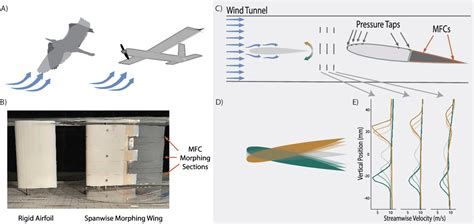 Deep Reinforcement Learning Reveals Fewer Sensors Are Needed For Autonomous Gust Alleviation