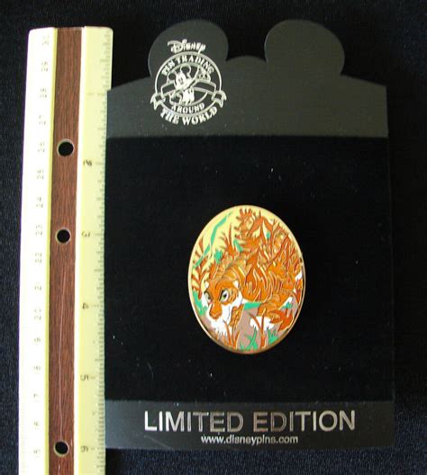 Disney Pins Rare Trading Pin Ebay