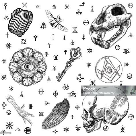 마법의 오컬트 세트 손으로 그린 신비주의 신비로운 요술은 마법 책과 물약 요리사를 위해 설정됩니다 열쇠 인간과 원숭이 두개골 눈 크리스탈 닭 발 벌레 곤충 새 날개 메이슨