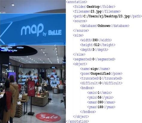 Annotation Example Figure 8 Data Augmentation Download Scientific Diagram