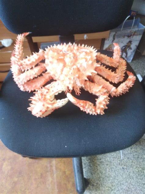 Invert E Base Portal Detailed Collection Record Information