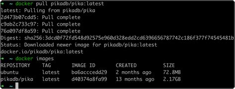 docker 镜像文件太大 Issue 1115 OpenAtomFoundation pika GitHub