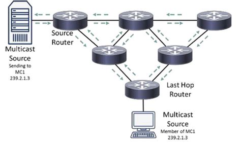 Routing Fundamentals Objs 1 4 2 2 And 5 5 Flashcards Quizlet