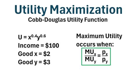 Utility Maximization With A Cobb Douglas Utility Function Youtube