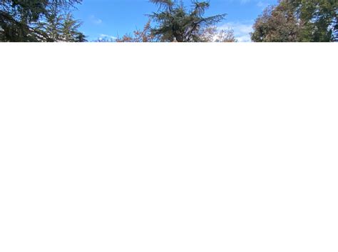 Level Up Allied Landscape Is Focused On Growing People And Partnerships The Edge From The