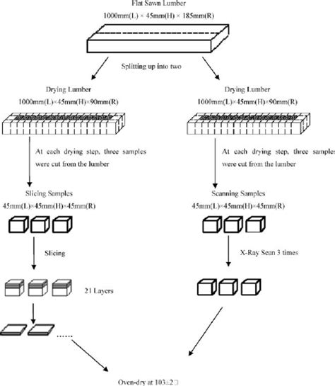 Sample Preparation And Drying Process Download Scientific Diagram