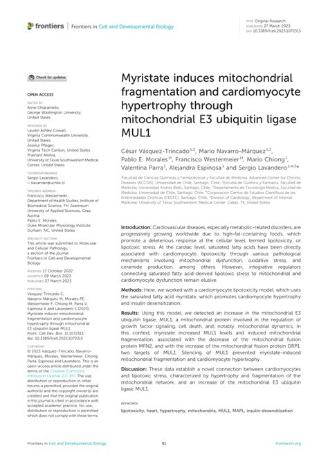 Pdf Myristate Induces Mitochondrial Fragmentation And Cardiomyocyte Hypertrophy Through