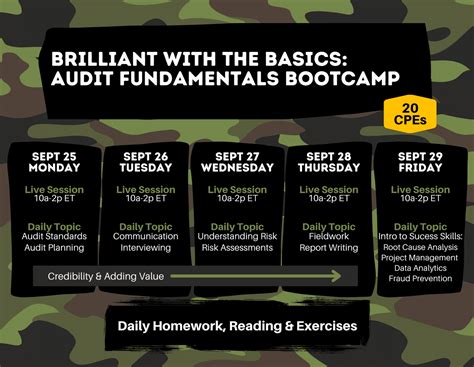 Brilliant With The Basics Audit Fundamentals Bootcamp Verracy