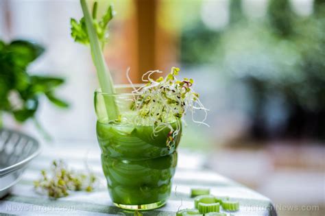 5 Health Benefits Of Fiber Rich Celery