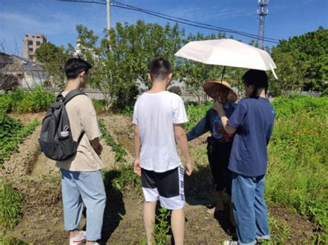 青春“三下乡”丨探访孔孟之乡，寻找振兴之路 大学生校园网