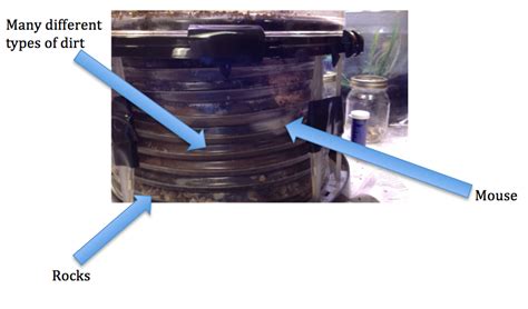 Annotated Diagrams Science