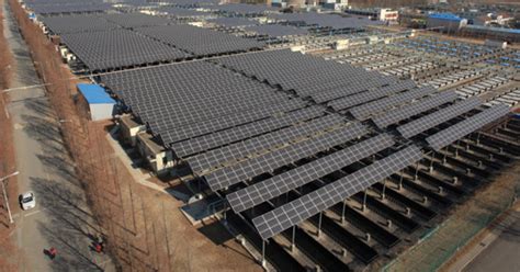 [다시 뛰는 유화업계 생산현장을 가다] 5 한화 태양광시설 환경 위한 착한 에너지 생산