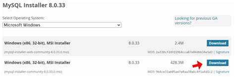 Mysql Installation Step By Step Guide