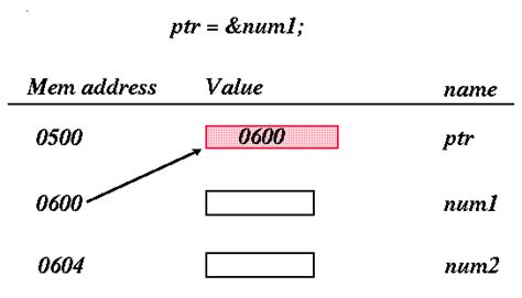 cs202 computer science ii