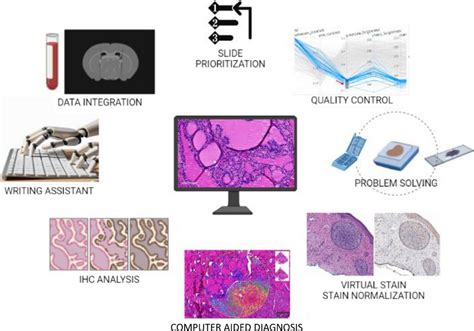 Automated Workflow In The Analytical Processes Download Scientific