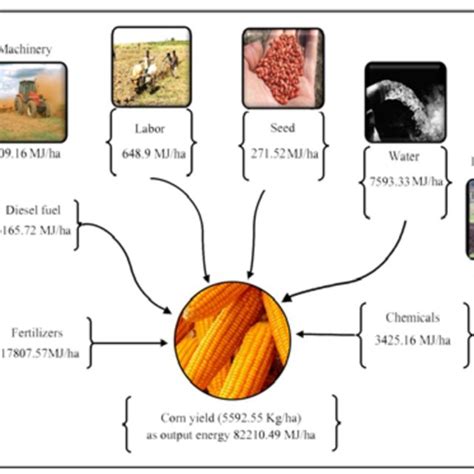 Pdf Improving Energy Use Efficiency Of Corn Production By Using Data Envelopment Analysis A