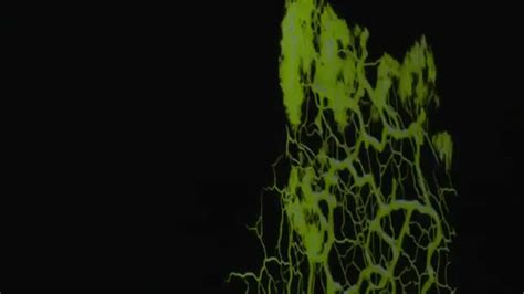 A Big Brainless Unicellular Yellow Blob That Moves Eats And Repairs Itself While Navigating Mazes A Big Brainless Unicellular Yellow Blob That Moves Eats And Repairs Itself While Navigating Mazes