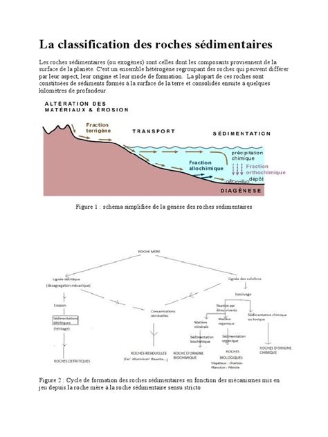La Classification Des Roches Sédimentaires Pdf Roche Sédimentaire