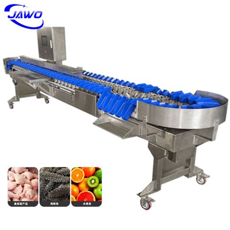Shrimp Grading Machine Digital Weighing Scale Weight Sorting Machine Shrimp Grading Machine Digital Weighing Scale Weight Sorting Machine