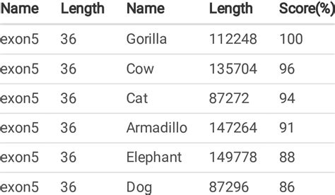 Contrast Between Exon And Corresponding Intron Download Scientific Diagram