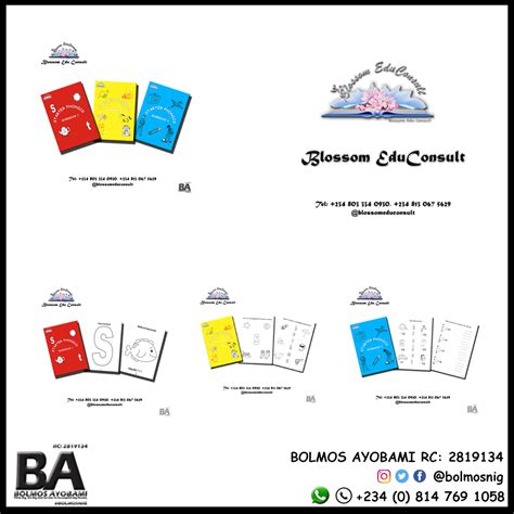 Bolmos Ayobami Providing Best Business Solutions