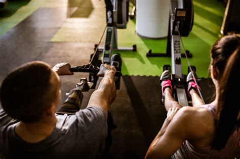 체육관에서 조정 기계에 운동 하는 운동 커플의 백 보기 체육관에 대한 스톡 사진 및 기타 이미지 체육관 헬스 클럽 젓기 신체 활동 Istock