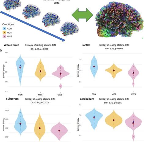 Complexity Of Structure Function Dynamic Relationship Illustration Of
