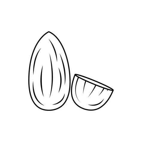 Nut Outline Nuts Line Drawing Png Images Pngtree