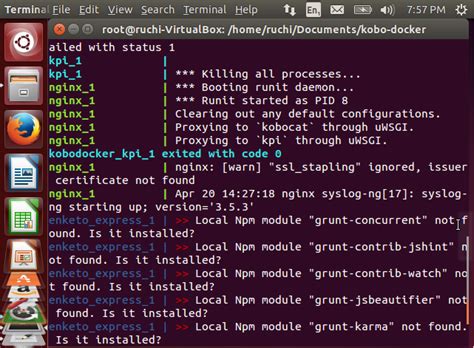 Error Occured While Installing Kobotoolbox On Server User Support