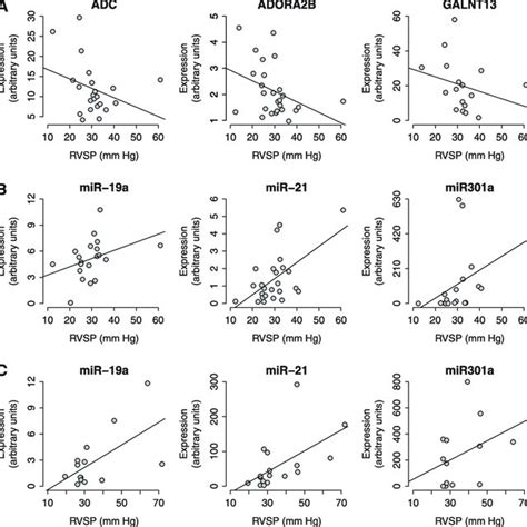 Validation By Reverse Transcriptase Quantitative Polymerase Chain Download Scientific Diagram
