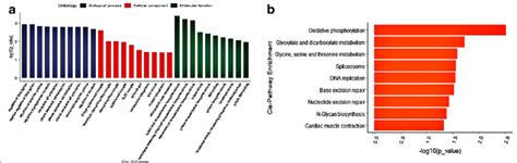 Go Enrichment Analysis And Kegg Pathway Enrichment Analysis Of The Download Scientific Diagram