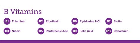 Webber Naturals Vitamin B100 Complex 90 Tablets Supports Energy